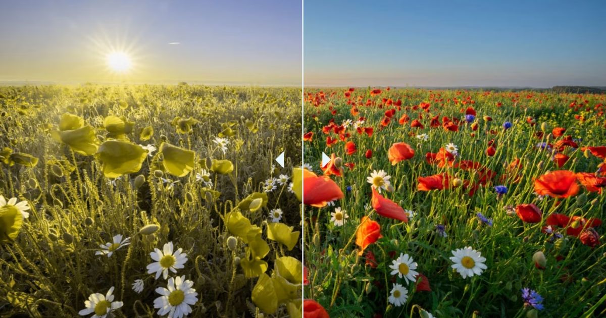 Simulation: Rot-Grün-Schwäche / Farbsehschwächen simulieren